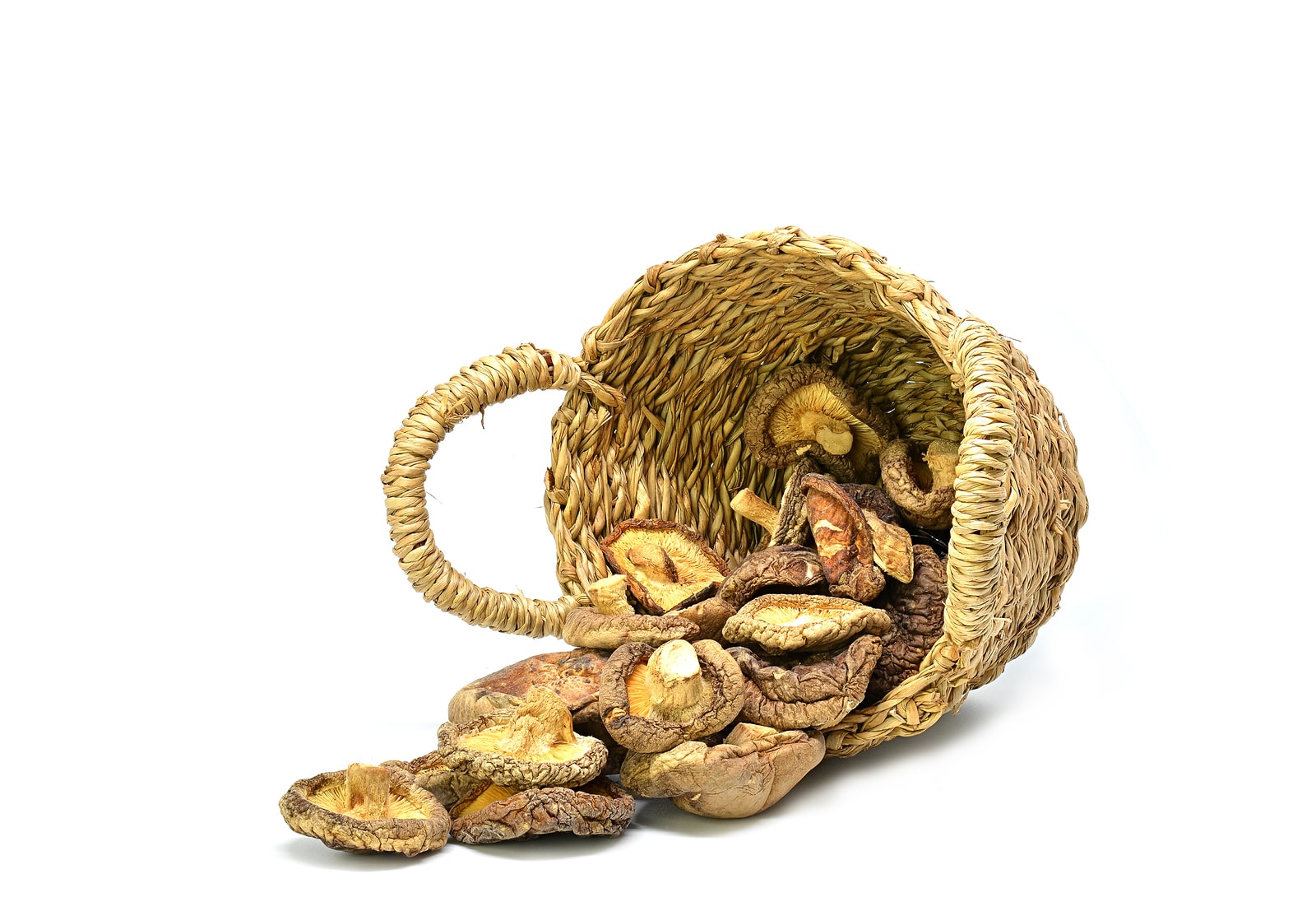 A shiitake gomba gyógyhatásai: mire képes a lentinán? - Mushi