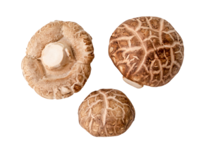 Mire jók a gyógygombák, melyik gyógygombát válasszam?