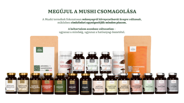 Mushi a gyógygombák szakértője